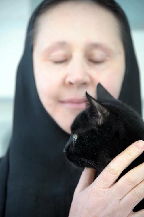 24 Adorable Monastery Cats
