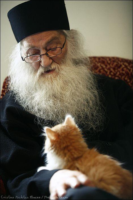 24 Adorable Monastery Cats