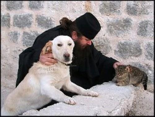 24 Adorable Monastery Cats